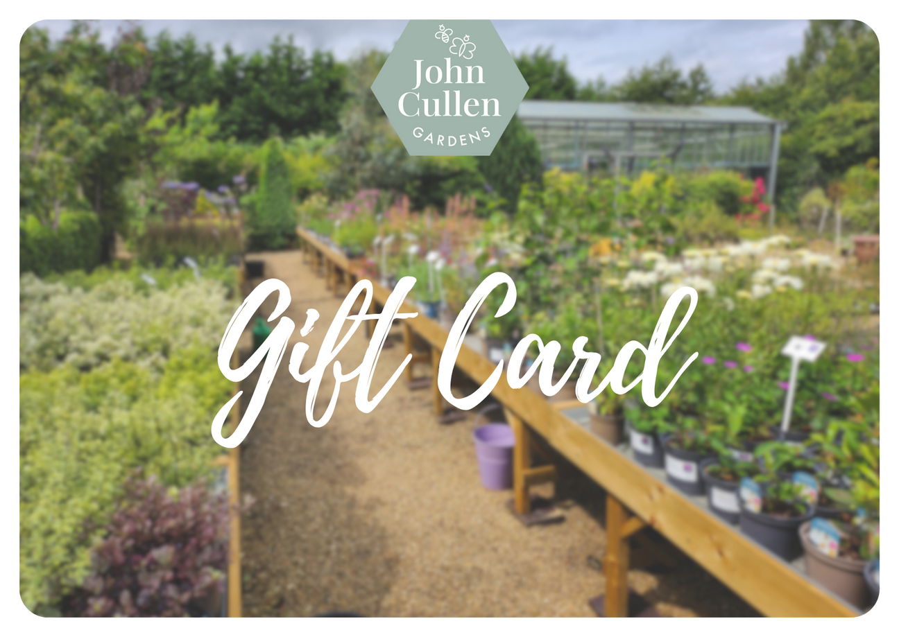 John Cullen Gardens Gift Card