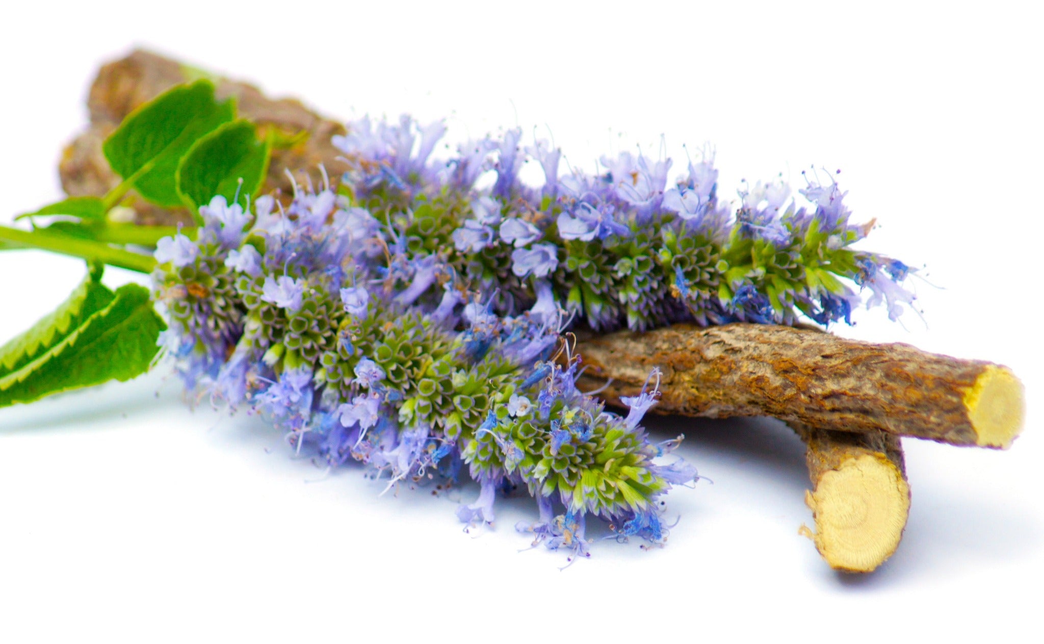 Liquorice | John Cullen Gardens