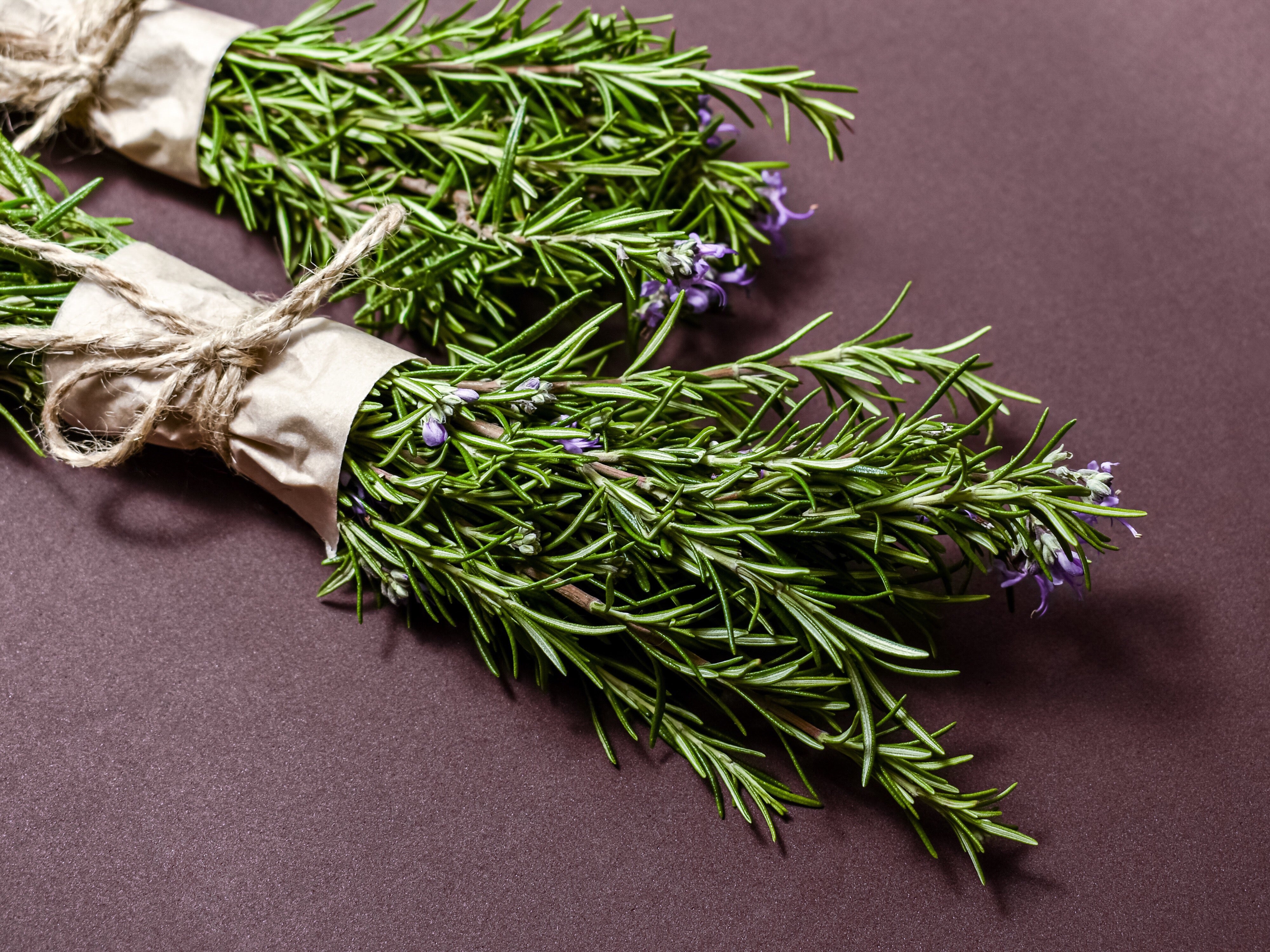 Rosemary Powder – John Cullen Gardens